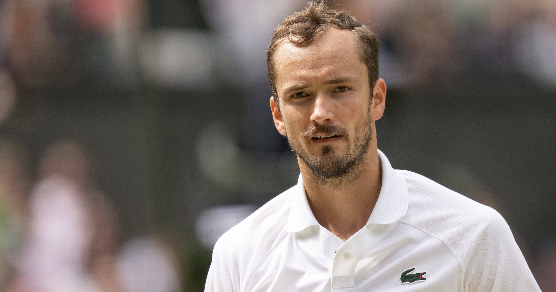 A trophyless 2024 for Medvedev - Tennis Majors